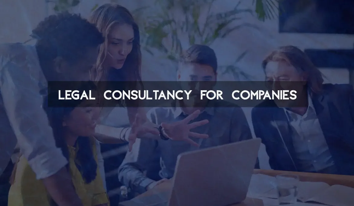 Legal Consultancy Services for Companies | Mesci Law Firm